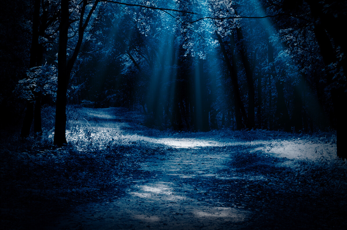 Creating Mood in a Scene Using Light and Shadow - WRITERS HELPING WRITERS®