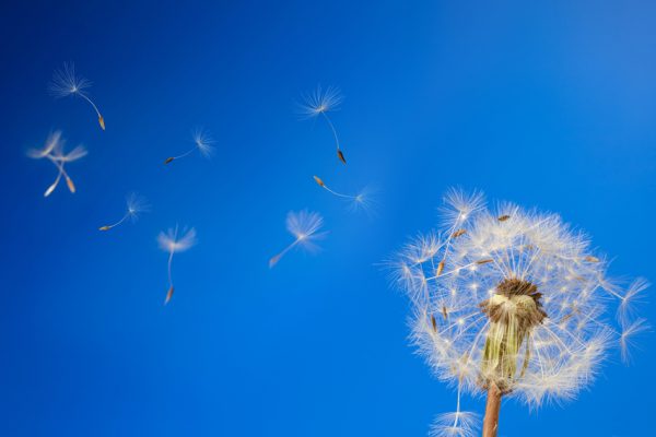 Representation in Literature: Why It’s Important & How To Handle It ...