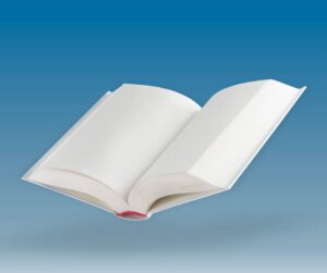 Four Must-Haves in the First Two Paragraphs of Every Chapter or Scene ...